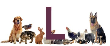 Dieren met een l - dier met l - alle dieren met beginletter l